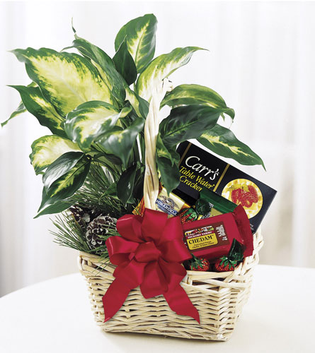Pam's Garden - Holiday Best Sellers - Holiday Hospitality Basket B8-3730